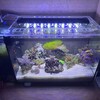 NEW Mini Riser, Fluval Flex Lid Risers, 2" Lid Risers for All Fluval ...