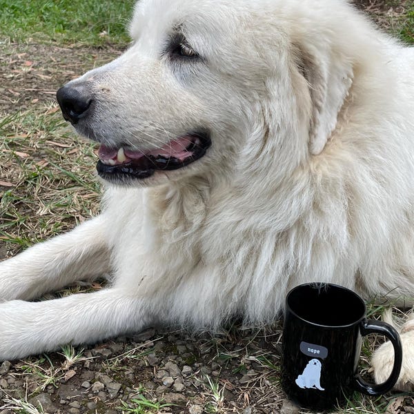 Happy Birthday Great Pyrenees Greeting Card, Sarcastic Dog Card for Him ...