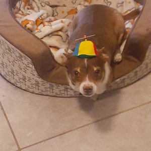 Beanie Hat / Propeller Helicopter hat for Cat Dog small pet | Etsy