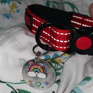 Dog Tag Bunny Chaser Dog Tag Funny Pet Tag Dog ID Tag - Etsy