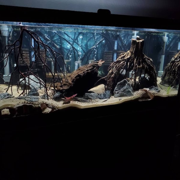Aquarium Driftwood Centerpiece Aquascape Hardscape Arch Fish Tank ...