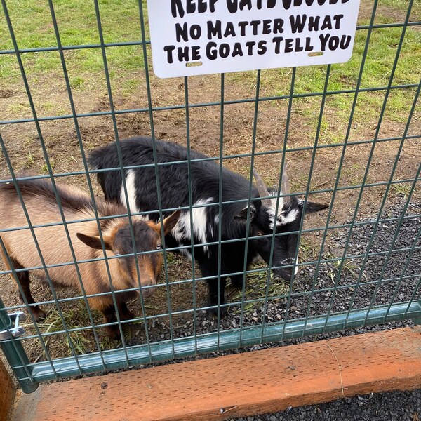 Goat Barn Sign - Etsy