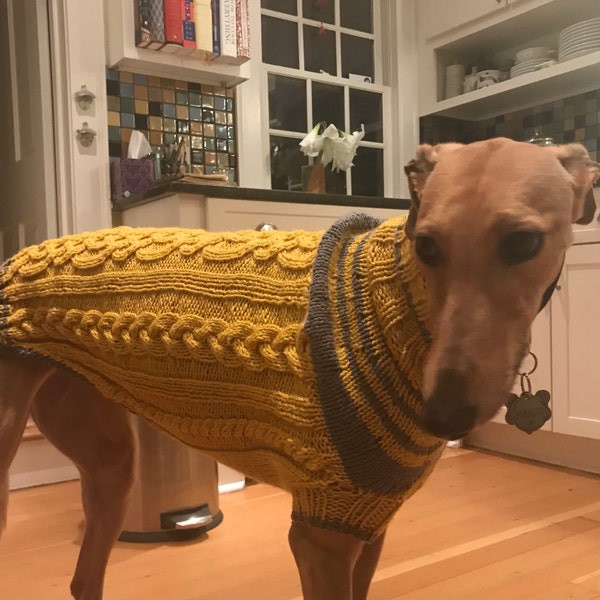 Dog/ Greyhound Sweater Knitting Pattern PDF File ONLY! - Etsy