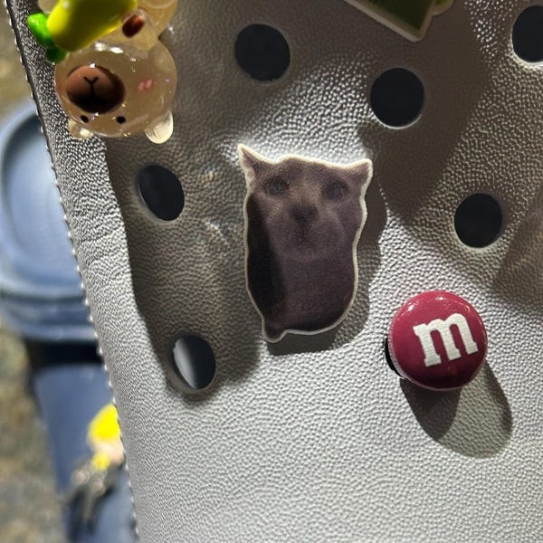 LGBTQIA+ Flag Heart Shoe/clog Charm, Cute Accessory, Custom Clog Charm ...