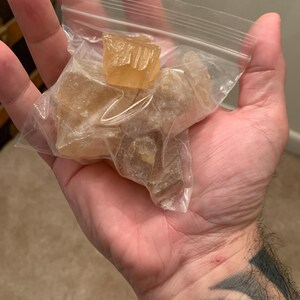 Asst Sea Shell Mix-1/2 Pound-beach Wedding Decor-sea Shells Bulk-bag of ...