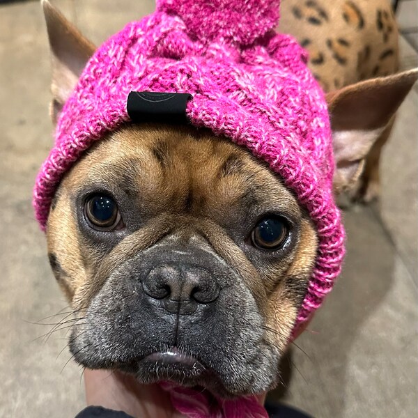 Fabulous Fido Dog Warm Sweater, French Bulldogs Winter Wool Clothes ...