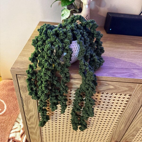 Crochet Hanging Burro's Tail Plant Pattern: Succulent PDF (digital ...