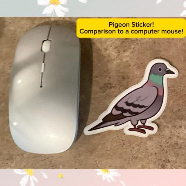 Corydoras Catfish Stickers - Etsy