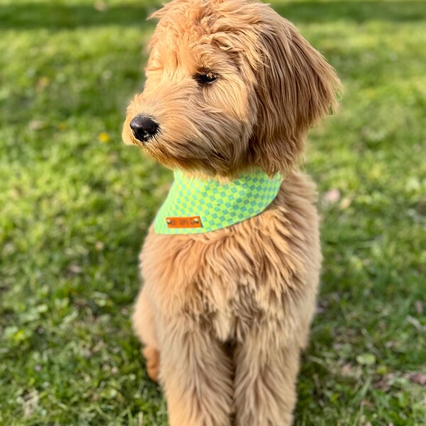 Ruff Hippie Dog Bandana Tie and Snap, Green Mushrooms - Etsy