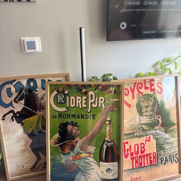 Cappiello Maurin Quina Poster: Vintage French Aperitif Ad, Green Devil ...