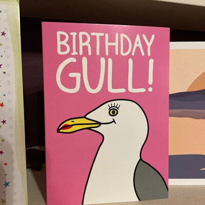 Birthday Girl Card, Cute Seagull Birthday Card, Happy Birthday Pink ...