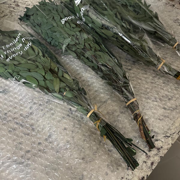 Preserved Lycopodium Bunchdried Princess Pine Grassdried Flowers ...