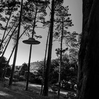 Sam of All Colors Sam the Sandown Ghost Clown Alien Clown Cryptid ...