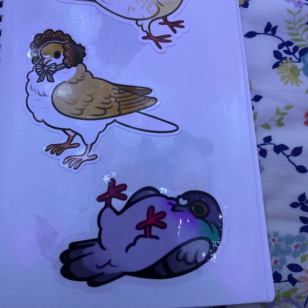 Pudgy Pigeon Sticker - Etsy
