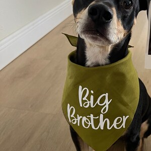 Ball-less & Flawless Dog Bandana, Funny Dog Bandana, Neuter Bandana ...