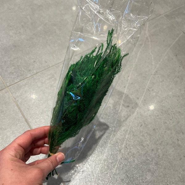 Preserved Lycopodium Bunch，dried Princess Pine Grass，dried Flowers ...