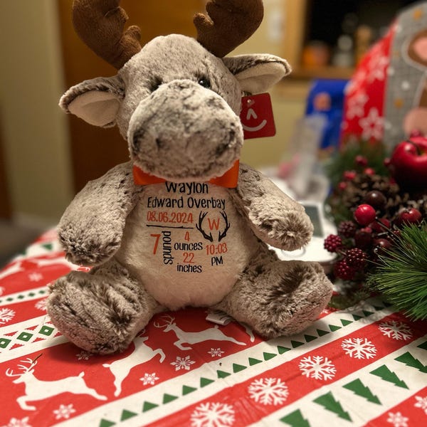 Adoption Gift, Girl Adoption Gift, Adoption Keepsake, Adoption ...