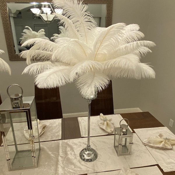 10 Pcs 8-10" 10-12" 12-14" 14-16" 16-18" 20-22" 24-26" White Ostrich ...