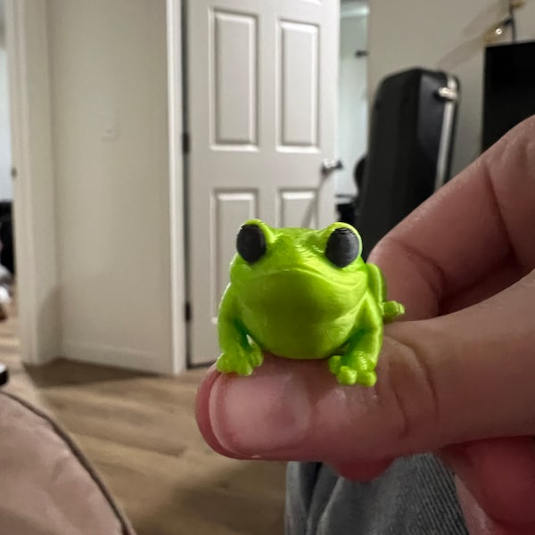 Fidget Frog Fidget Toy, Articulated Sensory Toy, Tiny Frogs, Flexible Frog, Desk Fidget Toy ...