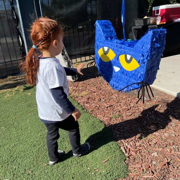 Pua Pig Piñata / Moana Themed Piñata / Moana Birthday Decorations ...