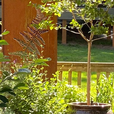 Fern Art Screen Privacy Screen Fern Wall Art Privacy Panel P623 - Etsy