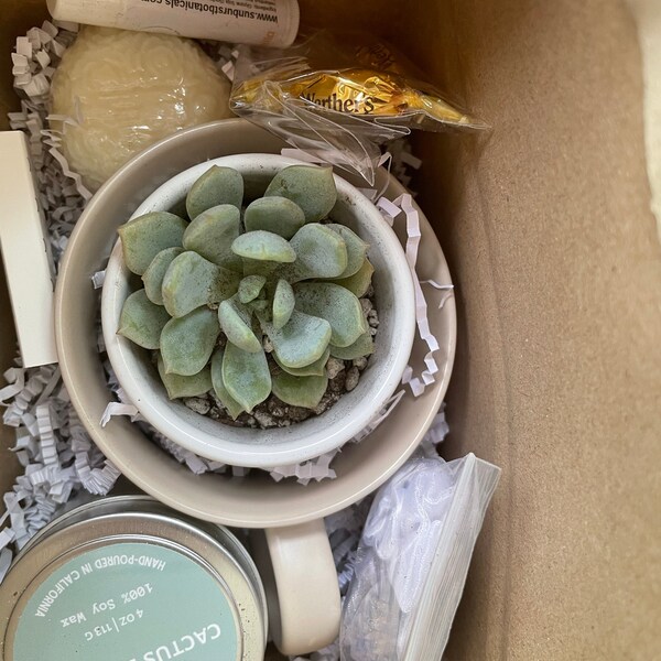 Sending PEACE LOVE & COMFORT Sending Comfort Gift Box Comfort Gift ...