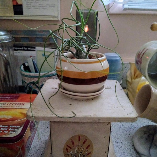 Mossy Green and Copper Salad or Fruit Bowl Earth Tones Large Shallow ...