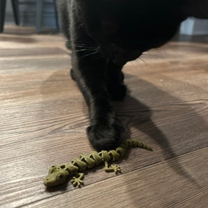 Kitty Lizard Articulated Cat Toy - Etsy