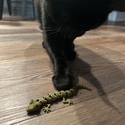 Kitty Lizard Articulated Cat Toy - Etsy