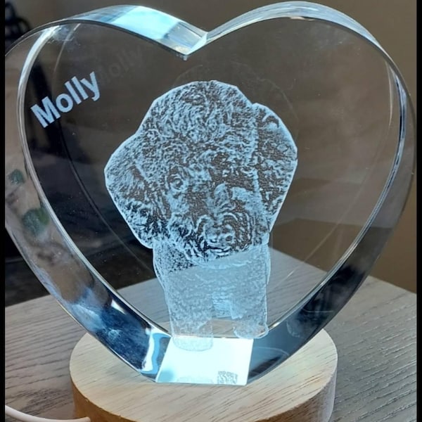 3D Engraved Crystal Pet Photo Gift: Personalized Pet Memorial - Etsy