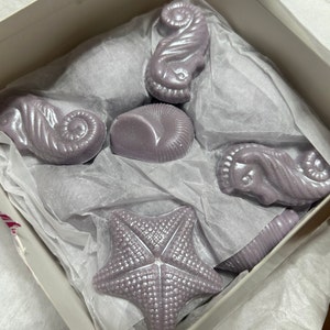 Foil Wrapped Chocolate Seashells, 1 Lb Bulk Boxed, Approx 43 Pcs. Any ...