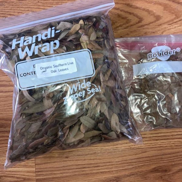 Southern Live Oak Leaf Litter, Isopod Leaf Litter, Dried Leaves ...