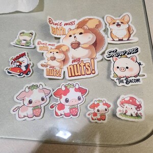 Adorable Chunky Capybara With Watermelon Sticker Cute Vinyl Decal ...