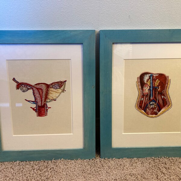 Anatomical Embroidery Art Print: Anterior Facial Anatomy - Etsy