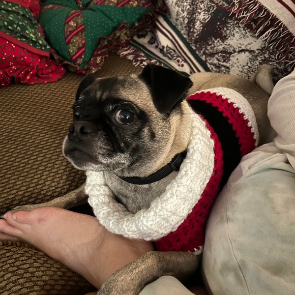 Holiday Dog Sweater Crochet PATTERN, Jolly Jumper Santa Coat Design ...