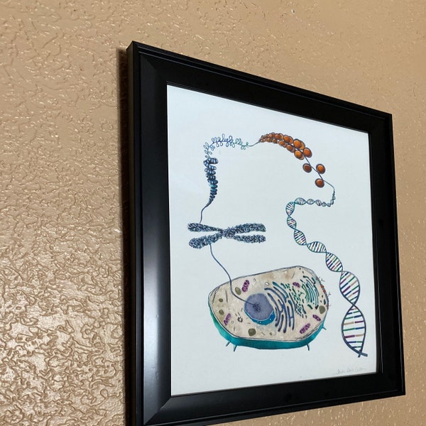 Cell to Helix, Science, Science Art, Biology, DNA, Genetics, Dna Art ...