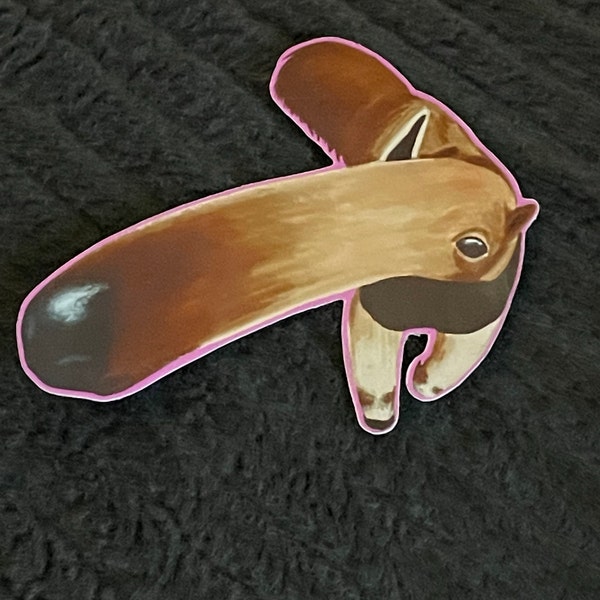 Anteater Sticker, Big Nose Edition! - Etsy