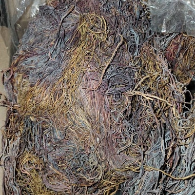 3LB HONDURAS Sea Moss - Etsy
