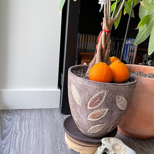 7oz Genuine HOLEY HOLED STONE Natural Indent Void Hole Indentation ...