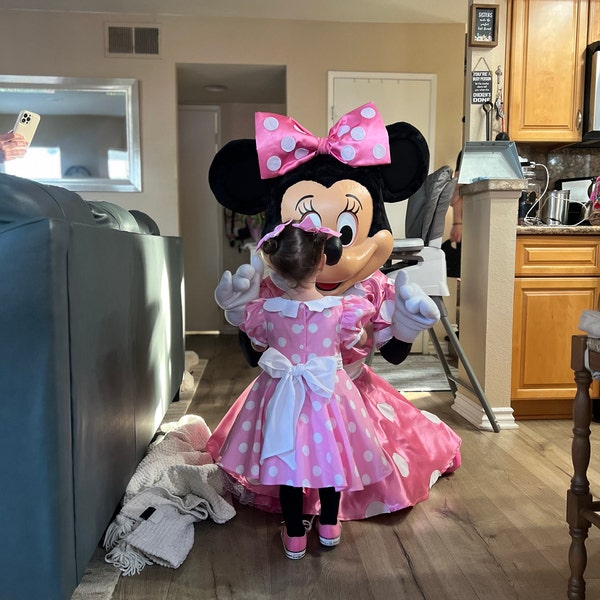 Minnie Mouse Costume, Minnie Mouse Baby Costume, Minnie Mouse Dress ...