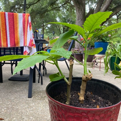 Filipino Food Word Search, Tagalog Printable Activity, Kids Word Games ...