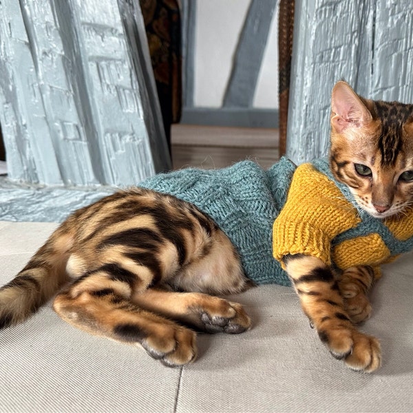 Yellow Cat Hat Hand Knit Sphynx Cat Accessories Pet Winter Beanie for ...