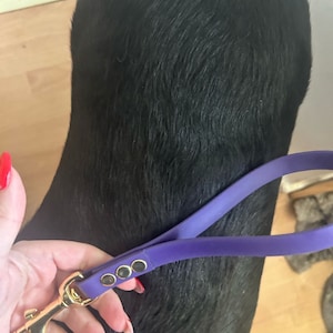 White Biothane Dog Collar - Etsy