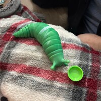 Fidget STIM Toy Darth Vador Star Wars Octopus - Etsy