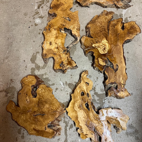 Olive Wood Rustic Bathroom Vanity Lighting, Live Edge Wooden Wall ...