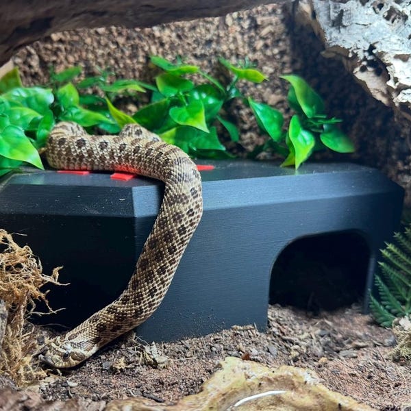 Reptile Coffin Hide | 3D Printed Gothic Enclosure Decor for Snakes ...