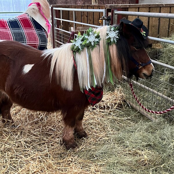 Prancing Pope - Religious Costume With Pontiff Hat and Vestment for ...
