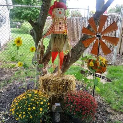 SUNFOREST SUNFLOWER MIX, Grow Fast Growing Sunflower Forest for Your ...