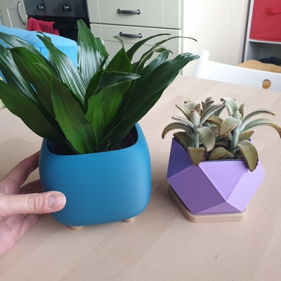 Rounded Cube Pot, Planter, Pot With Feet, Coloured Pot, Indoor Plant ...
