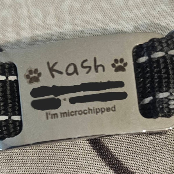 Cat Tag Silent Cat Tag Silde on Cat Collar Tag Cat Id Tag Cat Name Tag ...